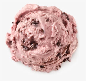 Homemade Brand Black Raspberry Chip Frozen Yogurt Scoop - Frozen Yogurt ...