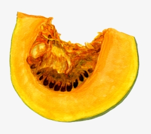 Winter Squash PNG Image | Transparent PNG Free Download on SeekPNG