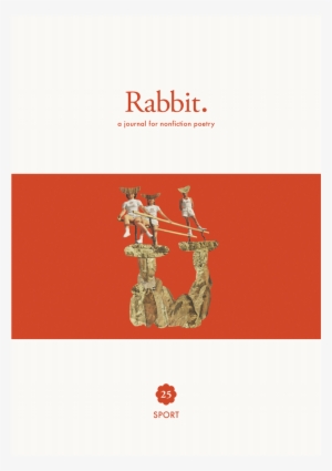 Rabbit Sport Within Australia Rabbit Poetry Png Rabbit - Black Rabbit ...