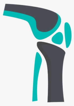 Bones & Joints Care - Orthopedic Png PNG Image | Transparent PNG Free ...
