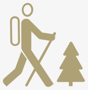 Ico Hiking Camping - Christmas Tree PNG Image | Transparent PNG Free ...