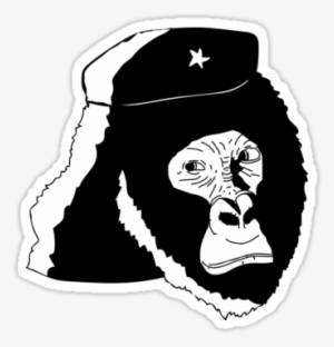 Harambe- Haramche - Harambe PNG Image | Transparent PNG Free Download ...