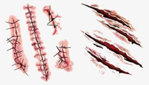 Scar Tattoo Hand Painted - Realistic Scar PNG Image | Transparent PNG ...