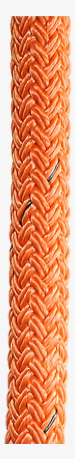 Stable Braid Rope 3/4 Inch Diameter - Rope PNG Image | Transparent PNG ...