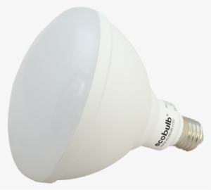 Compact Fluorescent Lamp PNG Image | Transparent PNG Free Download on ...