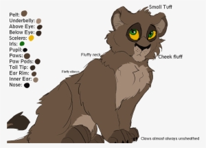 Lioness Reference Sheet - Lion King Lioness Ref Sheet PNG Image ...