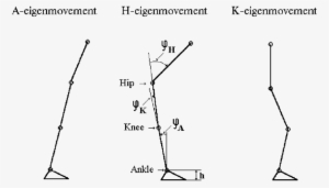 Png Black And White Library Ankle Drawing Foot Angle - Ankle PNG Image ...