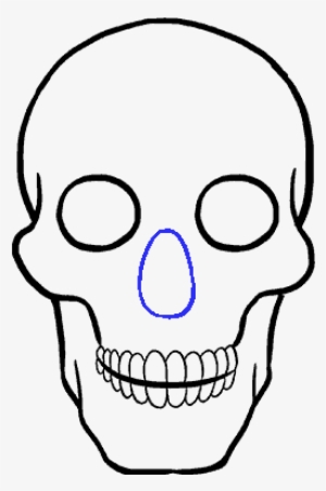How To Draw Skull - Drawing PNG Image | Transparent PNG Free Download ...
