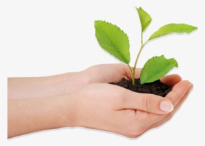 Environmental Management System - Hand Environment PNG Image ...