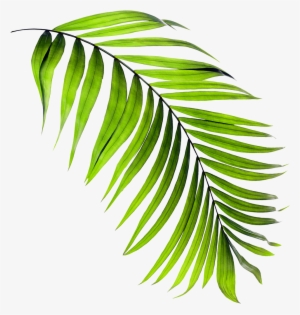 Real Estate Development PNG Image | Transparent PNG Free Download on ...