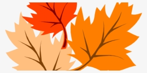 Autumn Leaves Clipart Thanksgiving - Fall Clip Art PNG Image ...
