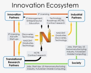 Graphic Representing The Innovation Ecosystem In Which - Innovation ...