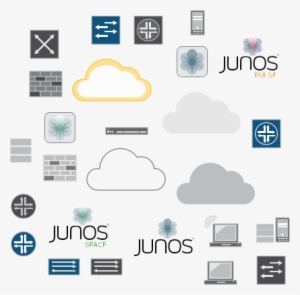 General Icons - Juniper Icon Png PNG Image | Transparent PNG Free ...