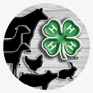 4-h Logos & Graphics - 4 H Logo PNG Image | Transparent PNG Free ...