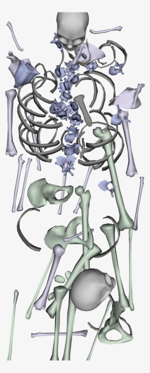 Bone Pile Top Down View Rpg, Bones, Pretend Play - Illustration PNG ...