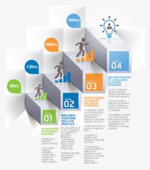 Understanding Which Level Of Training Is Right For - Training Level PNG ...
