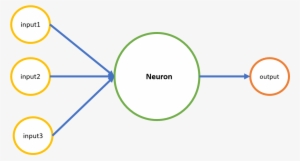 Deep Learning Neuron - Neuron PNG Image | Transparent PNG Free Download ...