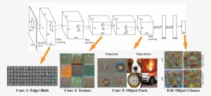 Visualize A Single Neuron - Alexnet Convolutional Neural Network PNG ...