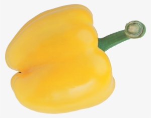Yellow Pepper No Background PNG Image | Transparent PNG Free Download ...