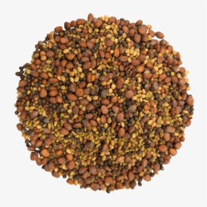 Salad Mix Of Sprouting Seeds Without Bag - Sprouting PNG Image ...