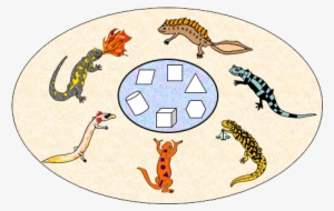 2nd Grade Math Salamanders Picture - Mathematics PNG Image ...