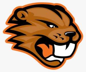 Beaver Logo - Beaverton High School Football Logo PNG Image ...