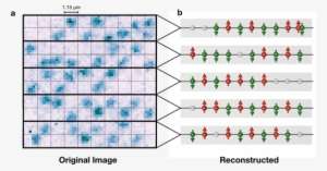 In An Originally Obtained Picture Of A One-dimensional - Quantum Many ...