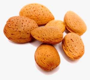 Almond Natural Skincare - Almond Seeds Vs Apricot Seeds PNG Image ...