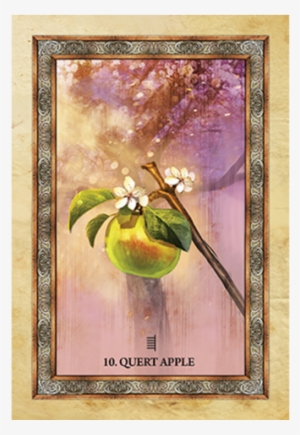 Celtic Tree Oracle - Celtic Tree Oracle By Sharlyn Hidalgo PNG Image ...