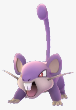Rattata-go - Rattata PNG Image | Transparent PNG Free Download on SeekPNG