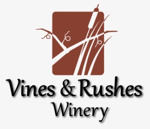 Logo And Name Below, Png, Color - Graphic Design PNG Image ...