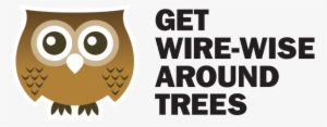 Get Wire Wise - Tree PNG Image | Transparent PNG Free Download on SeekPNG
