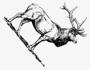 Theater Curtain Png Curtain Design Lajada - Stage Curtain Design Png ...