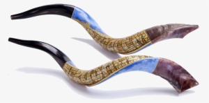 Shofar - Shofar Clipart Png PNG Image | Transparent PNG Free Download ...