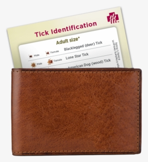 Tick Card In Wallet - Lifesystems Tick Remover Card PNG Image ...