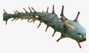Infected Rockgrub Fauna - Subnautica Rock Grub PNG Image | Transparent ...
