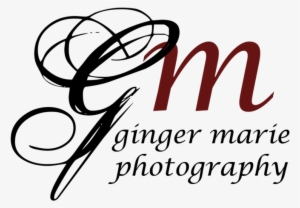 Gm Logo Final White Transparent 300 Dpi PNG Image | Transparent PNG ...