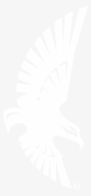 Uncw Soaring Seahawk Logo Black And White - Twitter White Icon Png PNG ...