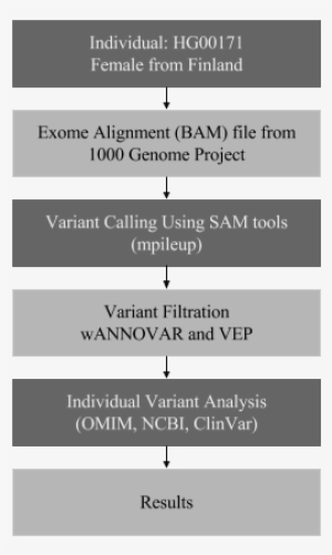 Final Project - The Final Project PNG Image | Transparent PNG Free ...