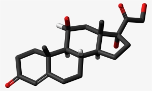 Cortisol 3d Skeletal Sticks - Steroid PNG Image | Transparent PNG Free ...