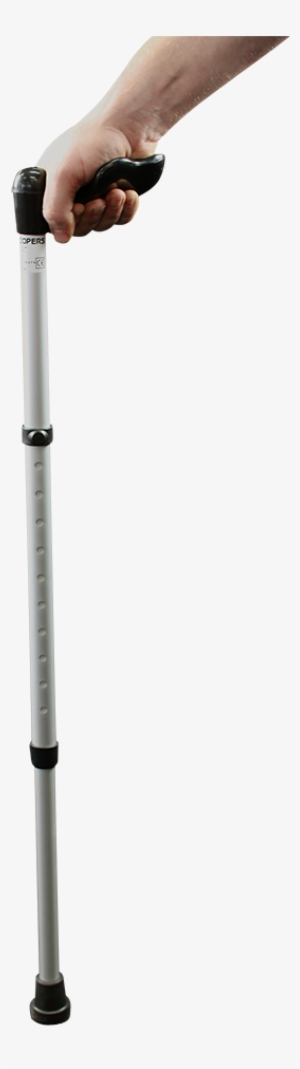 Walking Stick Png Hd - Walking Stick PNG Image | Transparent PNG Free ...