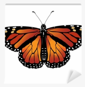 Mariposa Monarca Sin Fondo PNG Image | Transparent PNG Free Download on ...