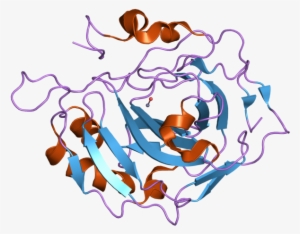 Pdb 2nwo Ebi - Database PNG Image | Transparent PNG Free Download on ...
