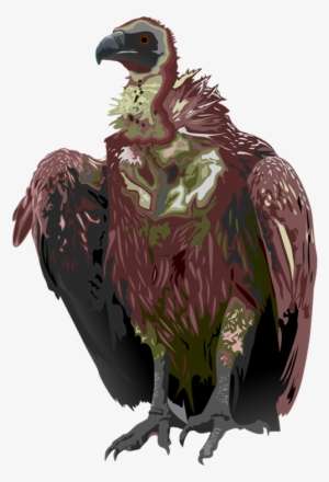 Clip Royalty Free Library Valcher Free On Dumielauxepices - Vulture Png ...