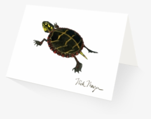 Painted Turtle PNG Image | Transparent PNG Free Download on SeekPNG