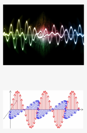 Polynomial Function In Real Life