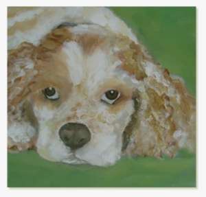 Cocker Spaniel PNG Image | Transparent PNG Free Download on SeekPNG