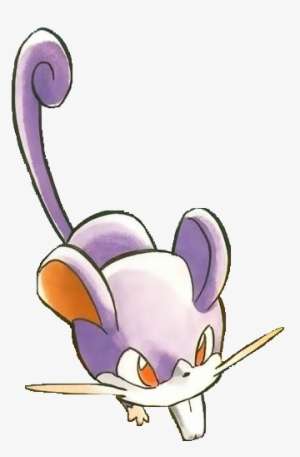 Raticate - Rattata Pokemon PNG Image | Transparent PNG Free Download on ...