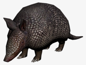 Armadillo - Red Dead Redemption Armadillo Animal PNG Image ...