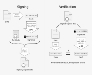 Digital Signature - Working Of Digital Signature PNG Image ...